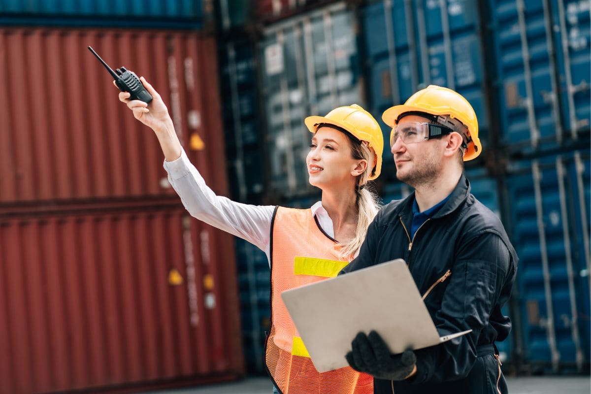 What is a Container Stowage Plan for Cargo Ships?